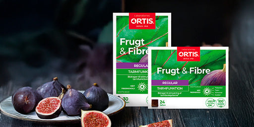 Frukt & Fiber – fibertillskott för matsmältning och tarmfunktion ...